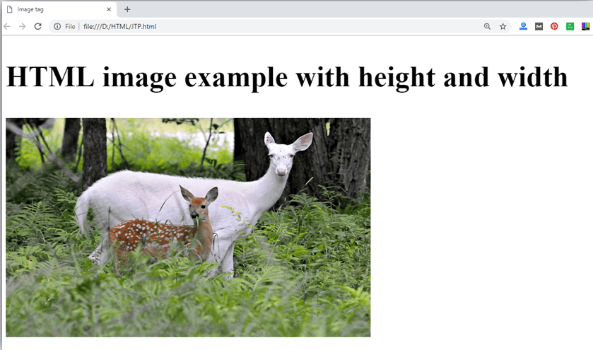Html 图像html基础教程文档html 图像学习手册 编程宝典 